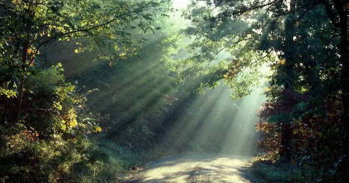 Dr. Stan J. Strycharz | About